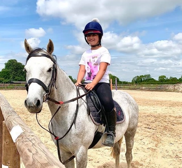 Home | Wapley Stables