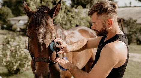 Events | Wapley Stables