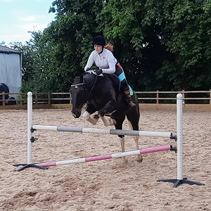 About Us | Wapley Stables