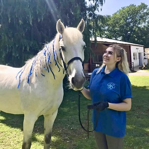About Us | Wapley Stables